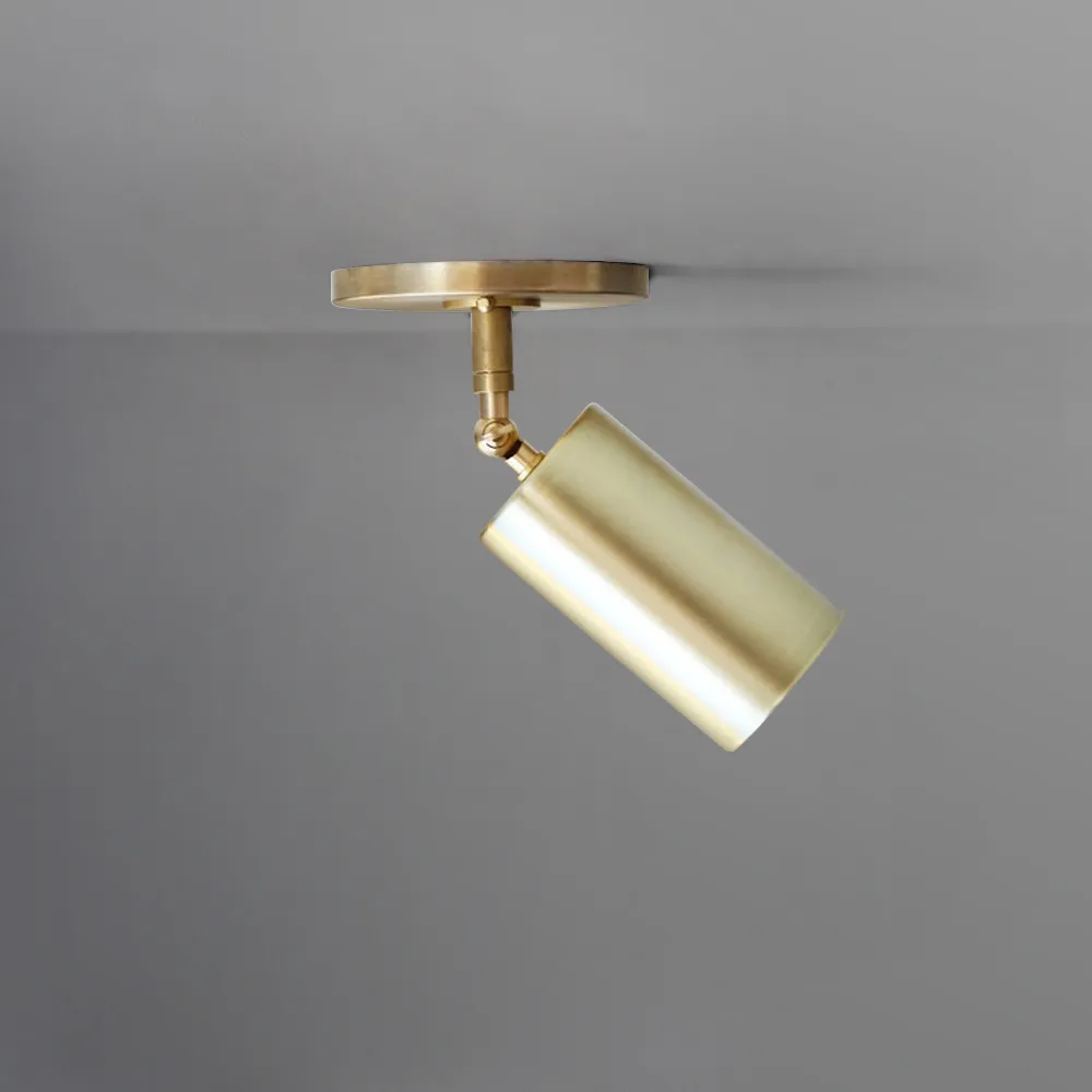 Ceiling spot lights Modern Individual Swivels